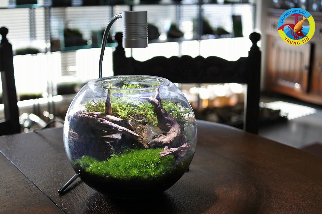 GEX Clear LED Leaf Glow