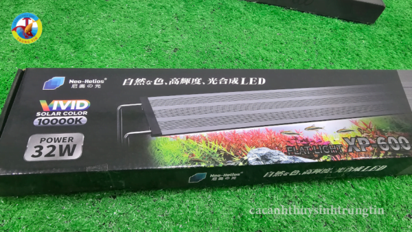 Đèn led máng Neo Helios XP-600