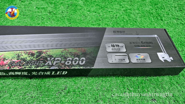 Đèn led máng Neo Helios XP-800