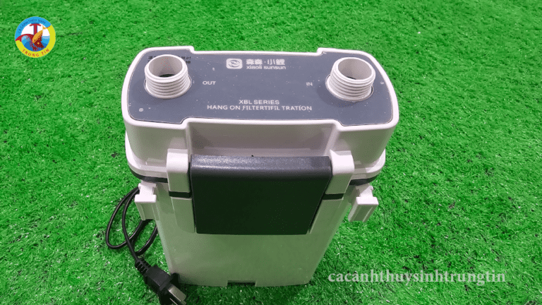 Lọc Treo XBL - 600 - Cá Cảnh Thuỷ Sinh Trung Tín